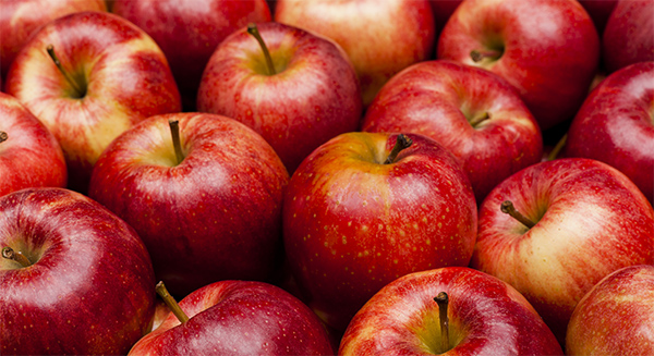 Fruits - Center For Technology Licensing