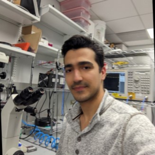 Introducing the Bright Minds Shaping the Future of Cornell Innovation ...