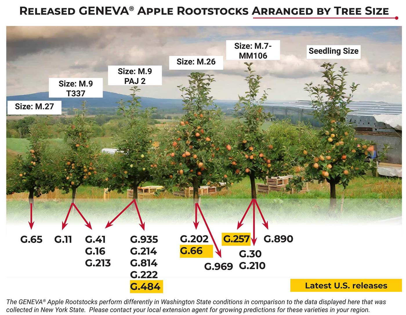 Rootstocks - Center For Technology Licensing