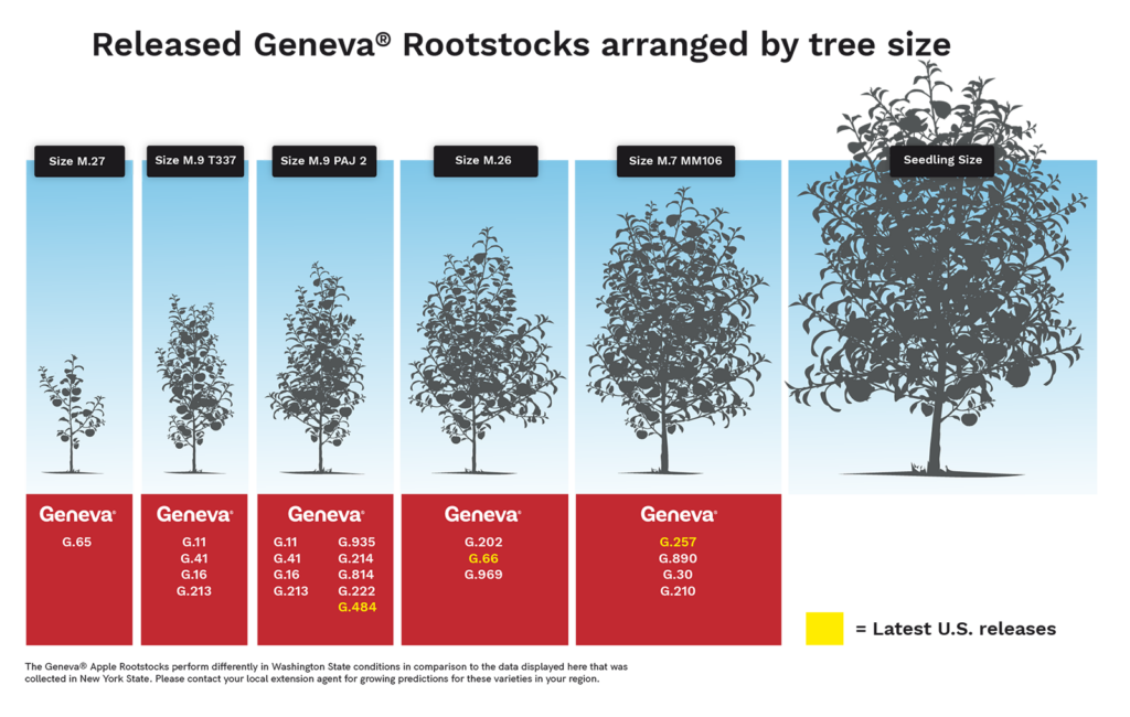 Rootstocks - Center For Technology Licensing